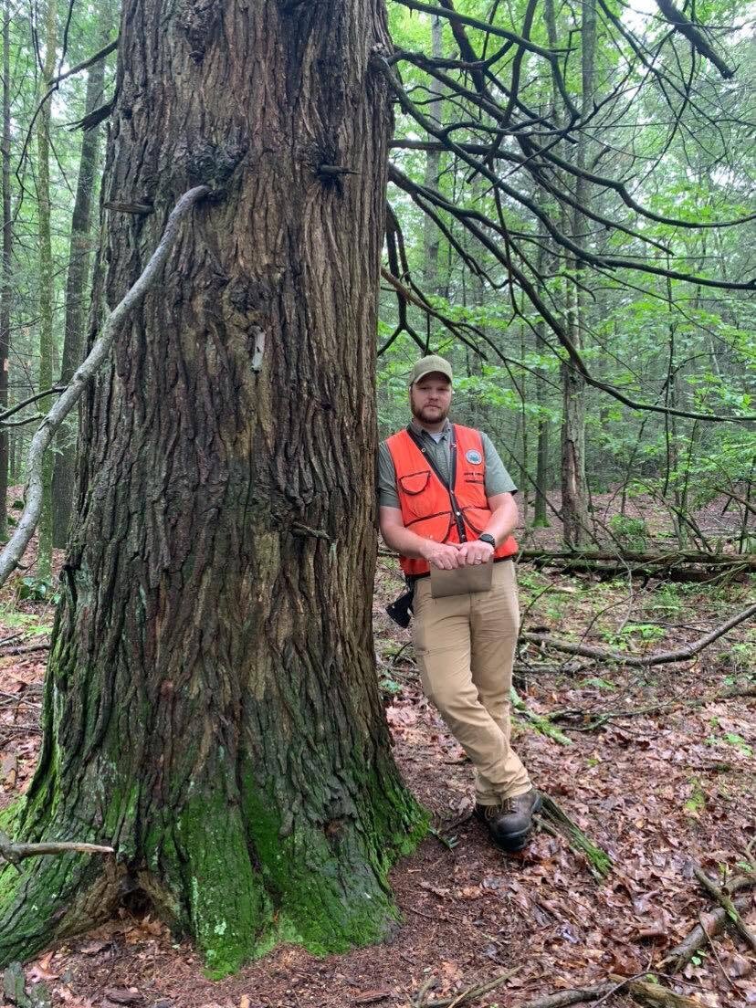 Forestry in Practice with Jeff Ward and Mike Berry | White Memorial ...