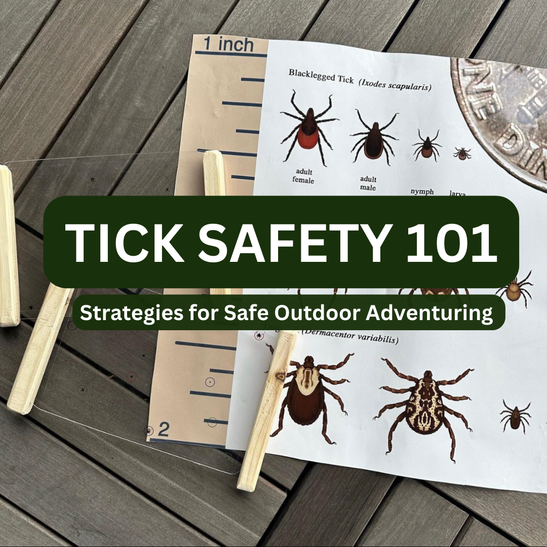 Tick Safety 101: Strategies for Safe Outdoor Adventuring | White ...